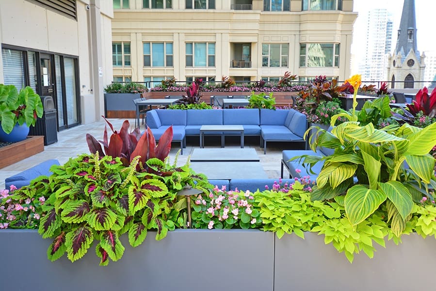 A Sun Deck Rooftop For All Condo Owners - Chicago, IL - Topiarius