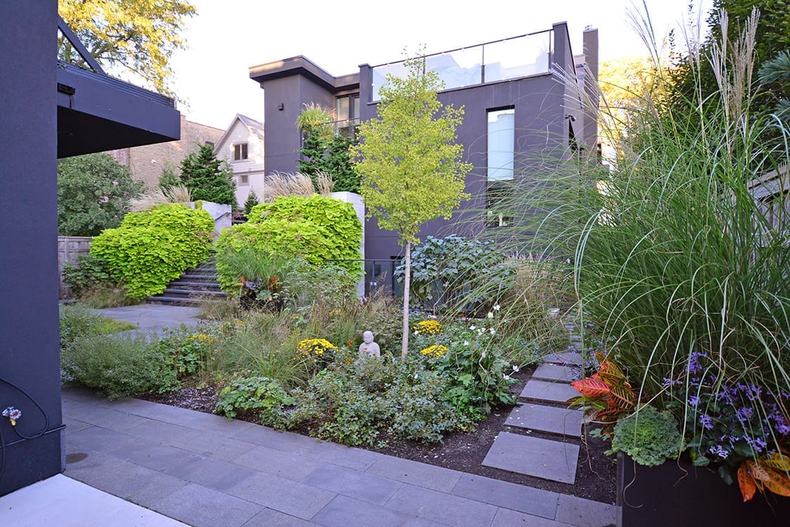 Urban Prairie Garden Design
