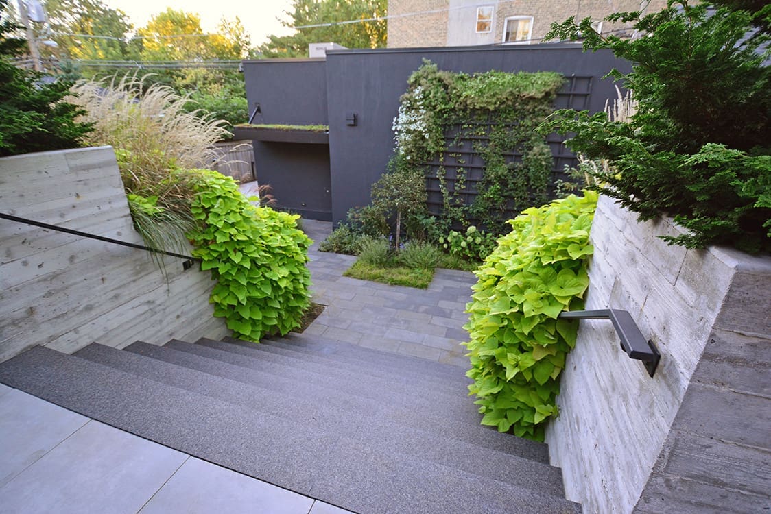 Urban Prairie Garden Design