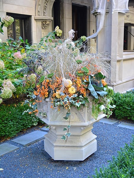 Fall Annuals Portfolio - Topiarius